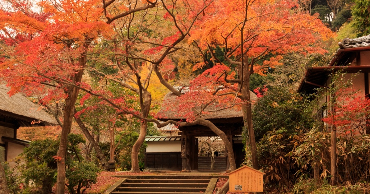Historical City Kamakura | Japan Incentive Expert